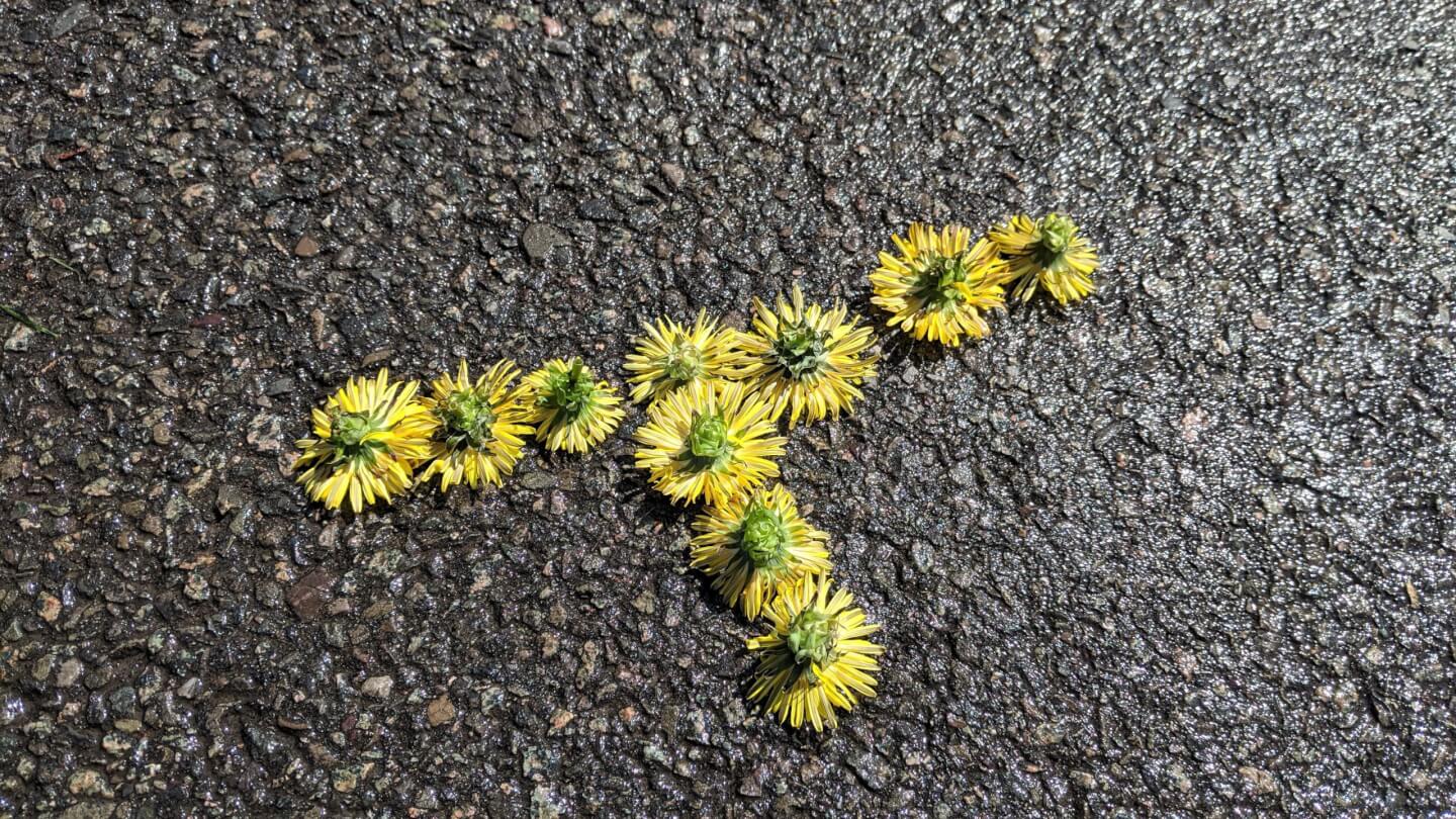 Tarmac Art - Barnes Common Limited