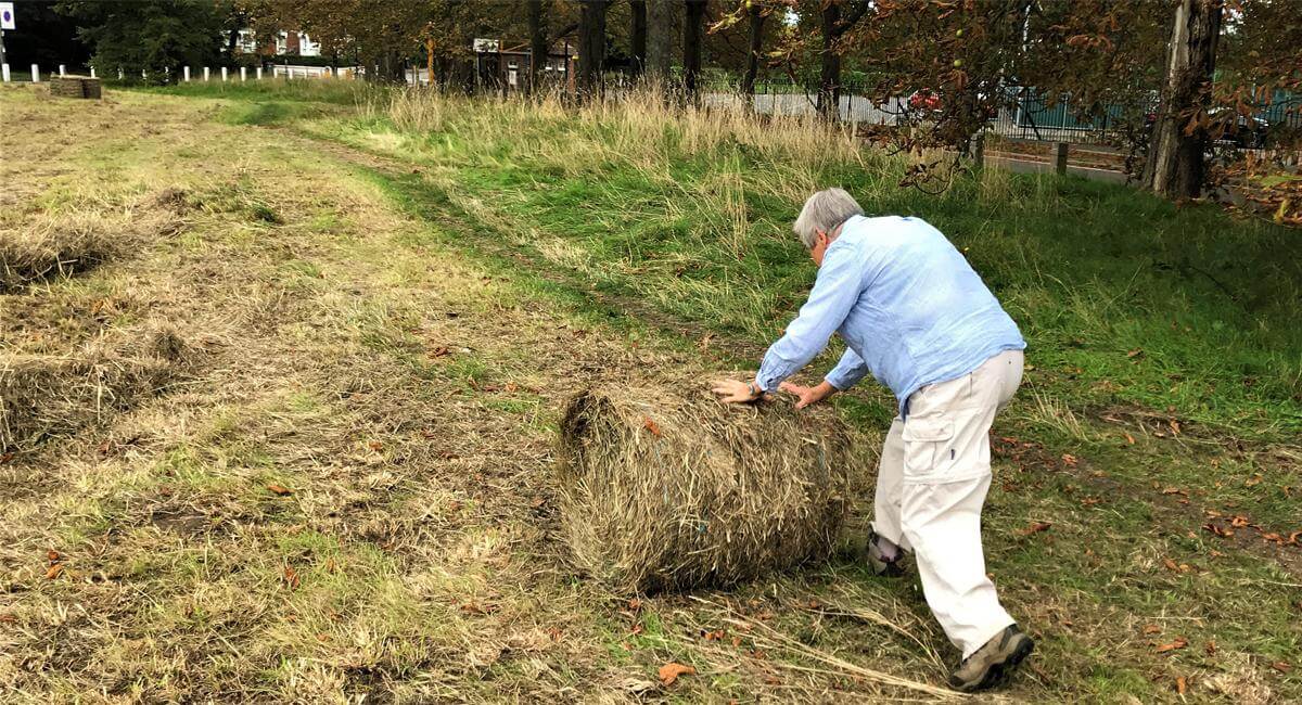 Making Hay - Barnes Common Limited
