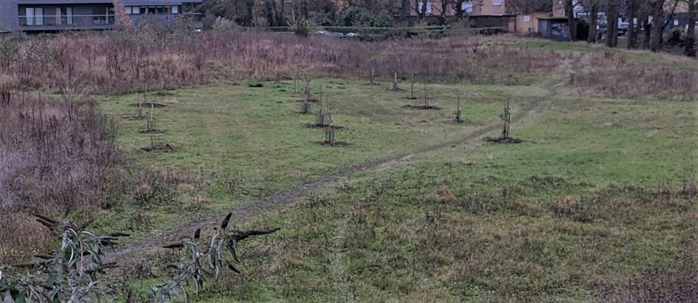 Orchard Map - Barnes Common Limited